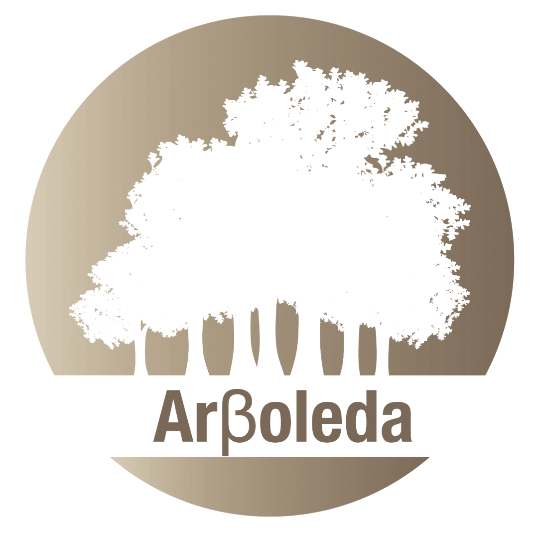 DIBUJANDO LA ARQUITECTURA DE LOS ÁRBOLES CON FRANCIS HALLÉ. 13 ...